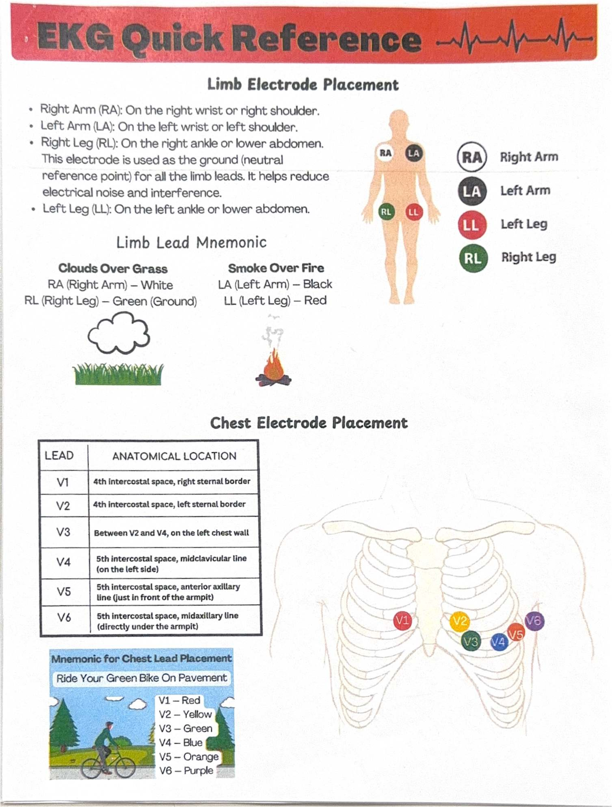 EKG Chart: Limb Electrode Placement & Interpretation Guide - Studocu