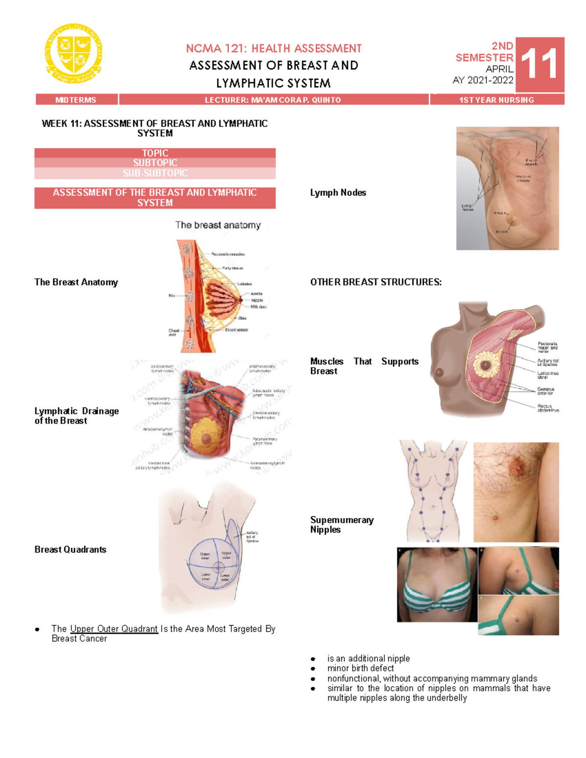 NCMA 121: Midterm Week 11 Assessment of Breast & Lymphatic System - Studocu