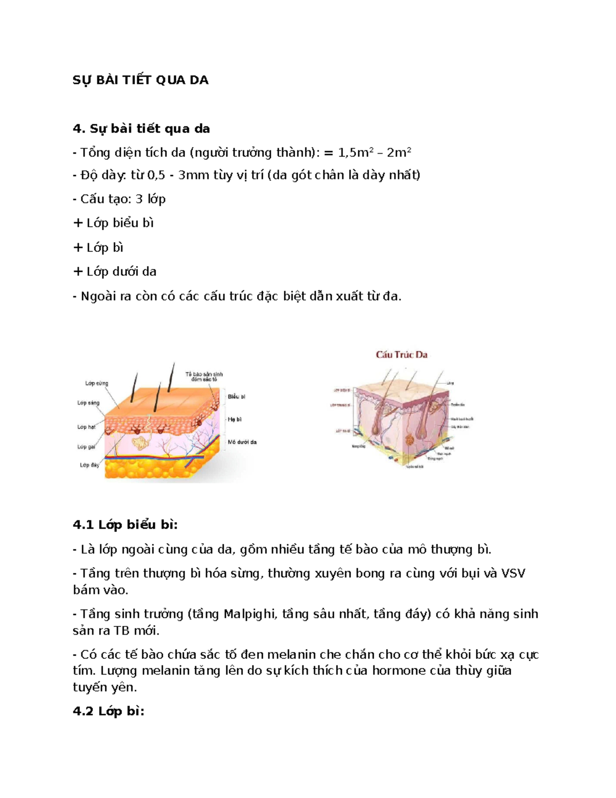 SỰ BÀI TIẾT QUA DA - TỔNG QUAN VỀ CẤU TRÚC VÀ CHỨC NĂNG - Studocu