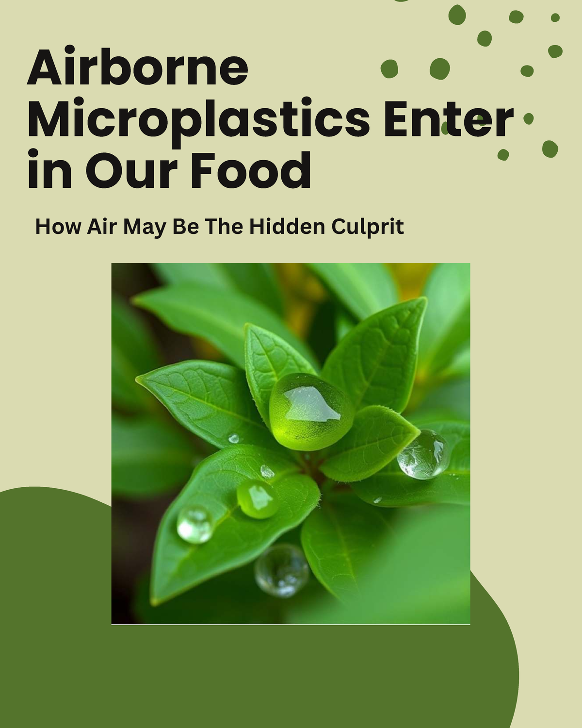 Microplastics in Our Food: The Hidden Airborne Threat Explained - Studocu