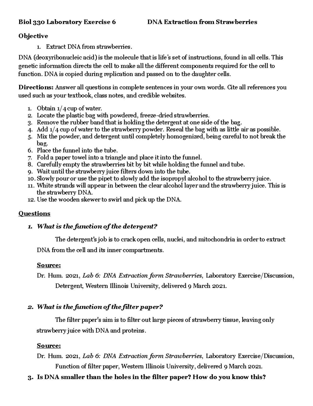 DNA Extraction from Strawberries - Biol 330 Laboratory Exercise 6 DNA ...