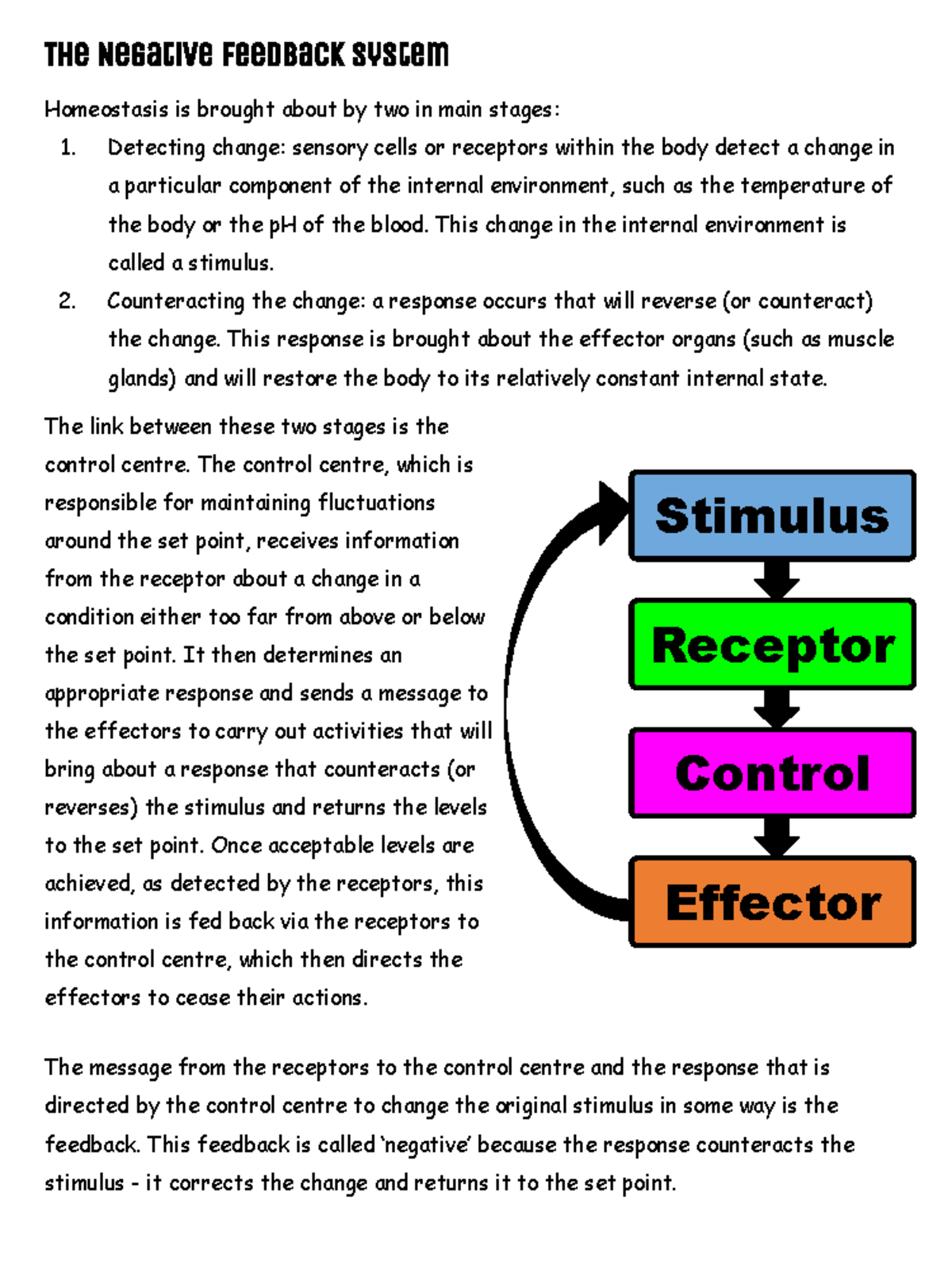 Negative Feedback System in Homeostasis: Mechanisms & Processes - Studocu