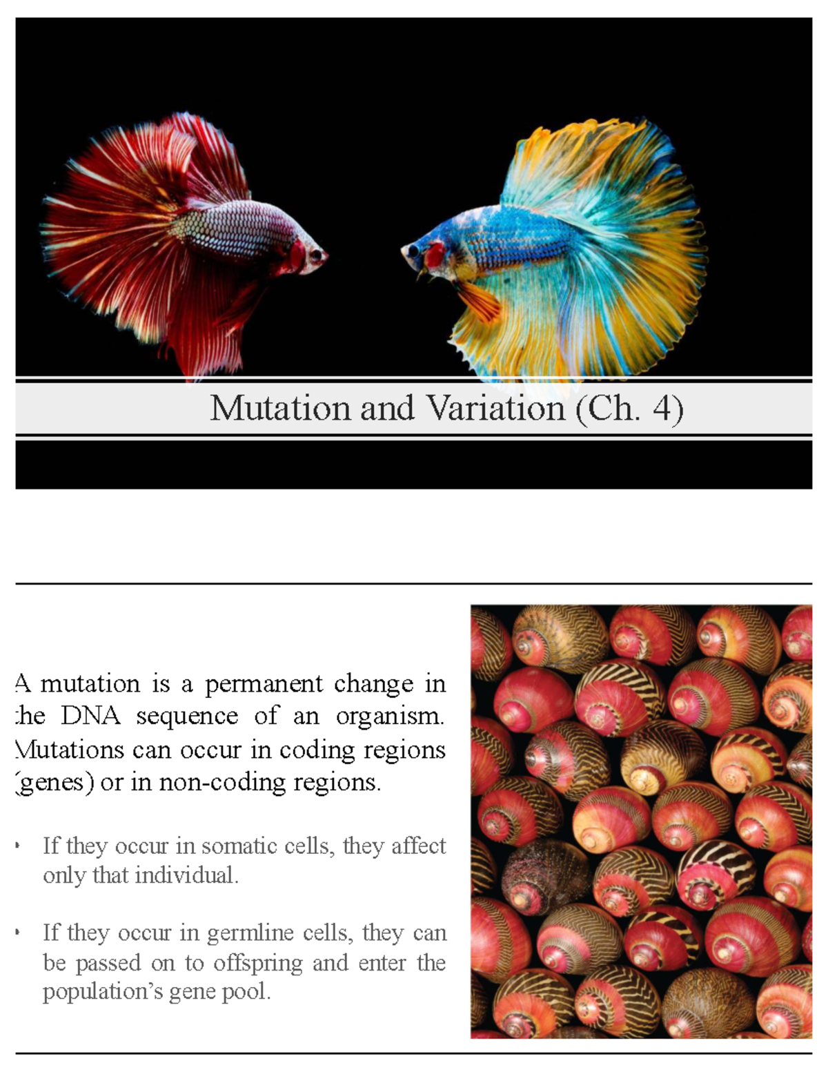 Mutation and Variation in Genetics (Ch. 4) - Key Concepts Explained ...