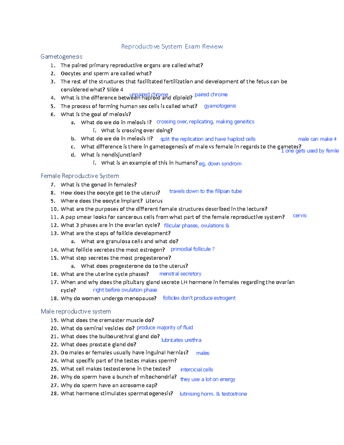 Reproductive System Exam Review - Reproductive System Exam Review ...