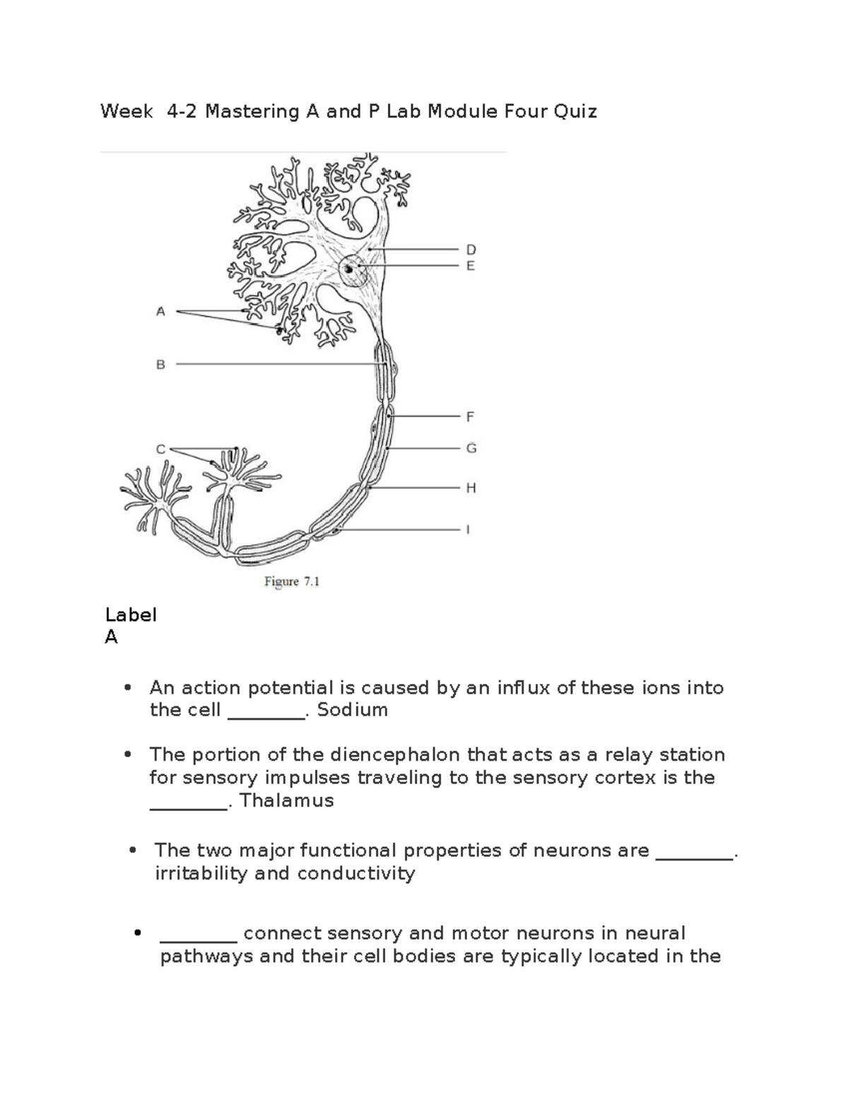 Week 4-2 A&P Lab Module 4 Quiz Review Notes - Studocu