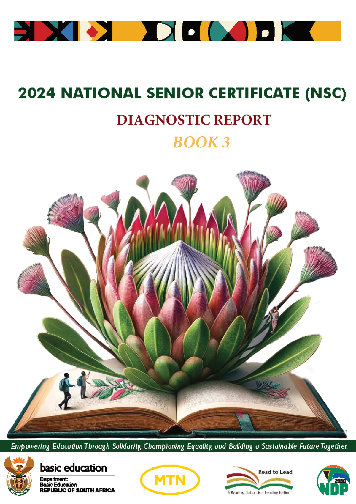 Diagnostic Report 2024: NSC Performance Analysis and Recommendations ...