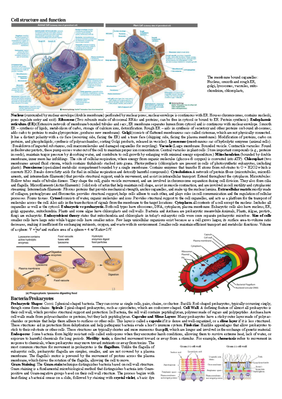 Cellebio Exam Notes: Cell Structure, Function, and Signaling - Studocu