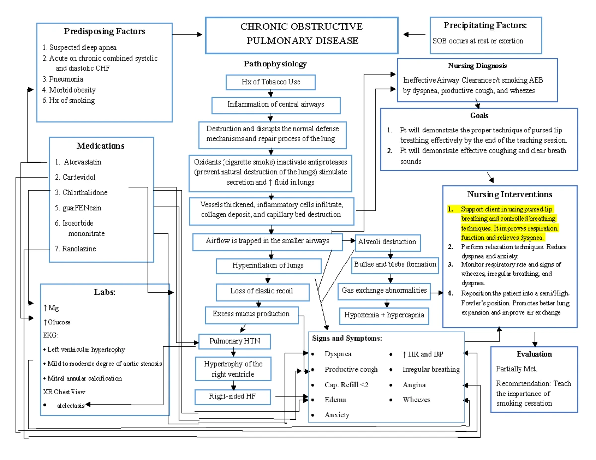 RN 42A Chest Tube Skills Concept Map & Nursing Care Protocols - Studocu