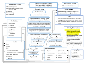 Systemic Lupus Concept Map - ACTIVE LEARNING TEMPLATES System Disorder ...