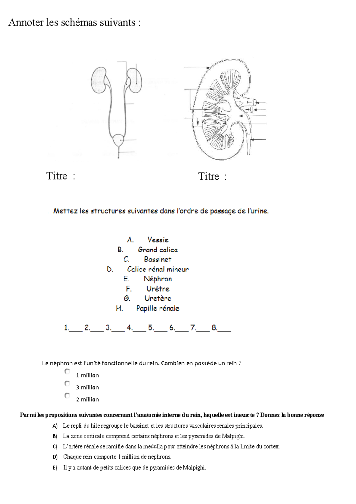 Renfort BPH1 : Schémas et Questions sur le Néphron et l'Excrétion - Studocu