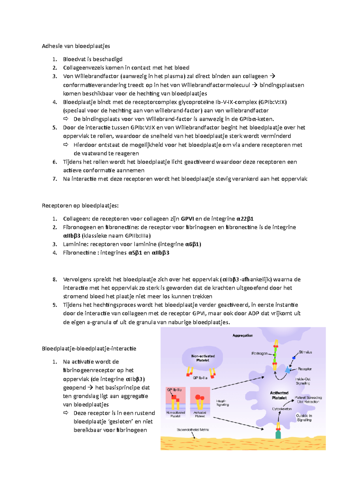 Adhesie en aggregatie van bloedplaatjes: Mechanismen en rol van VWF ...