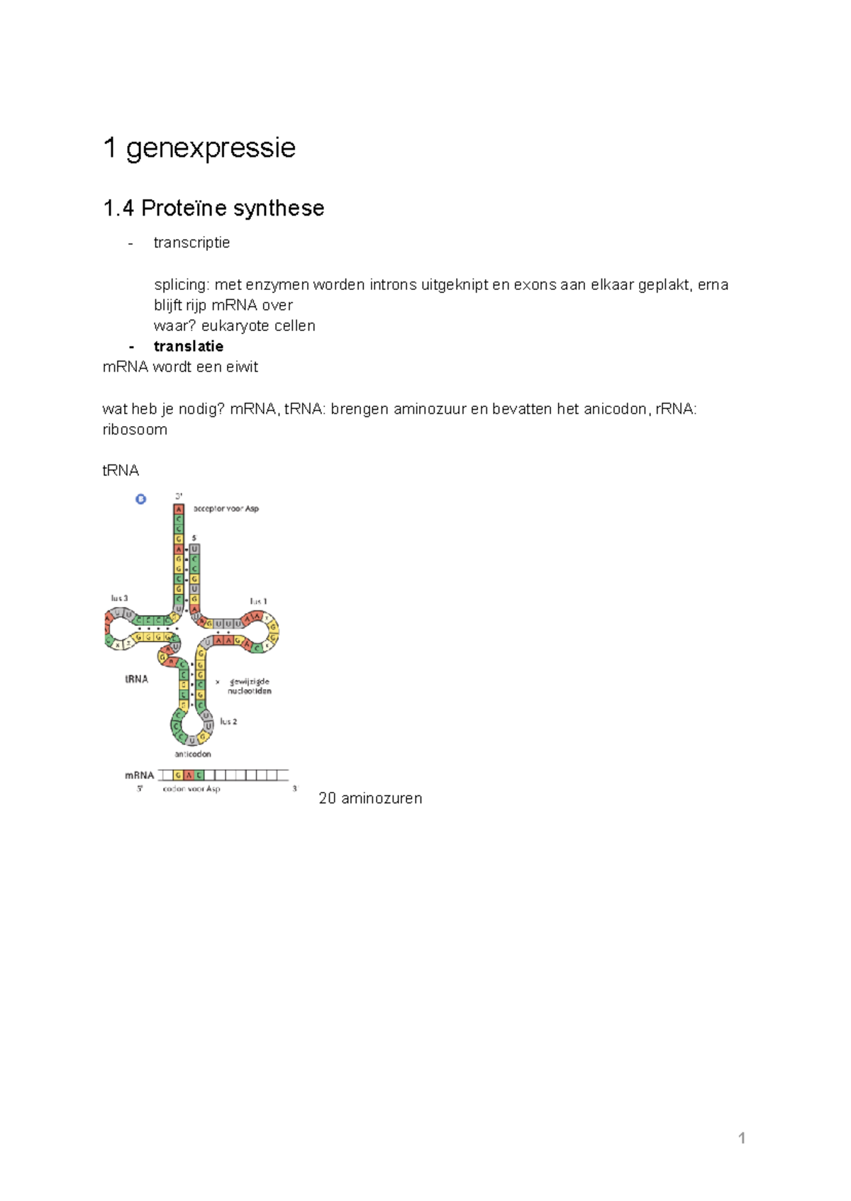 Biologie Genexpressie en Voortplanting: Een Samenvatting voor EXAMEN ...