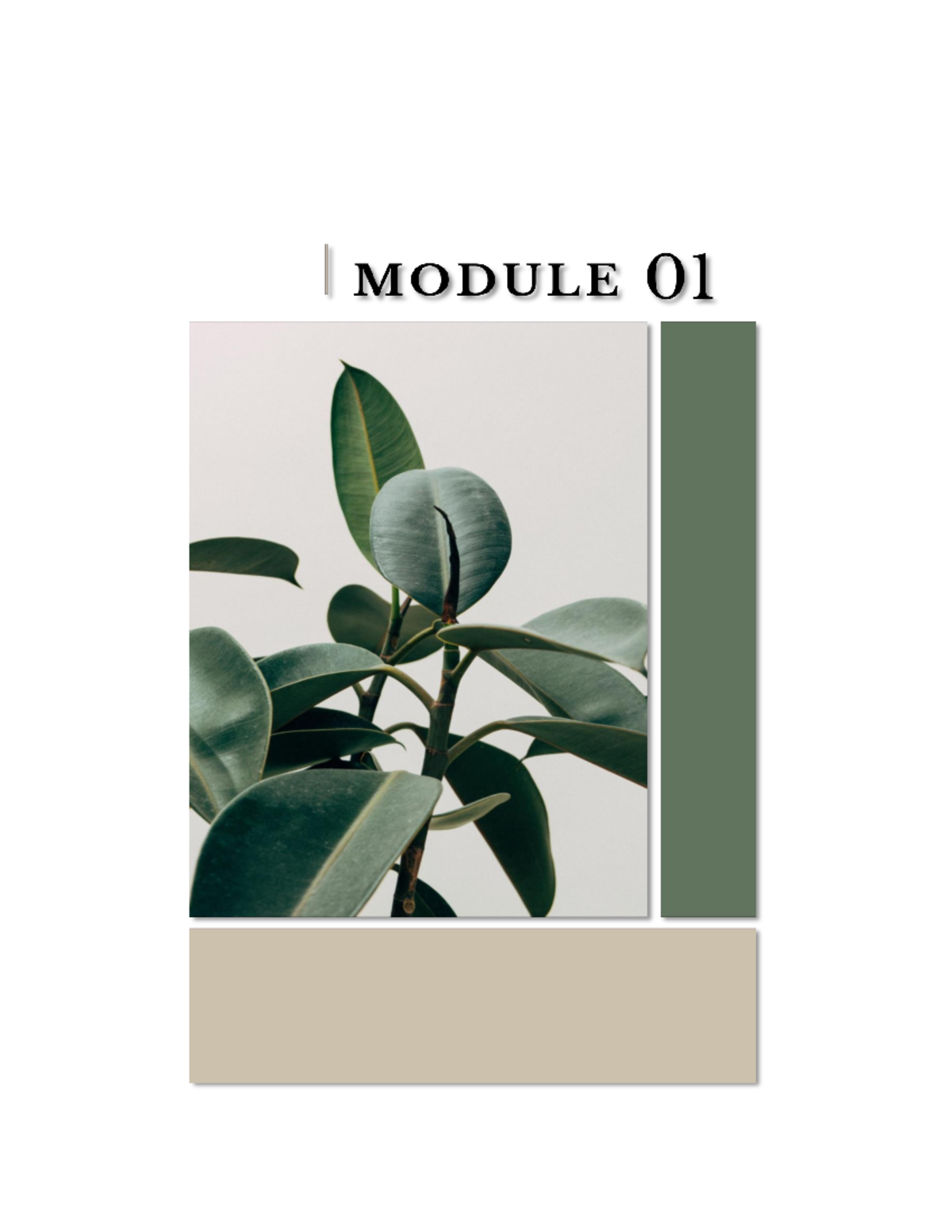 Crop Prot 41 Module 1 - CHAPTER 1. REVIEW ON THE PRINCIPLES OF PLANT ...