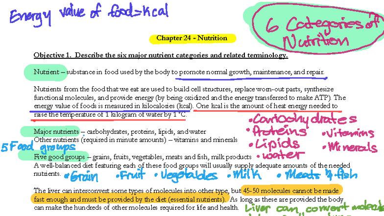 Chapter 24 - Nutrition: Major Nutrients and Metabolism Overview - Studocu