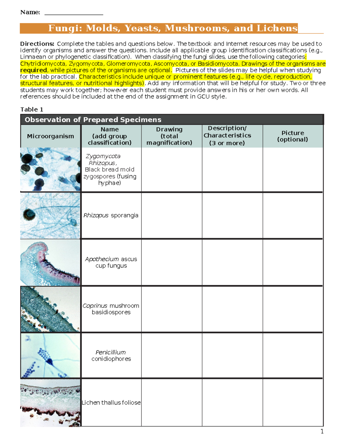 Bio182-03.01 Fungi Worksheet: Molds, Yeasts, Mushrooms, & Lichens - Studocu