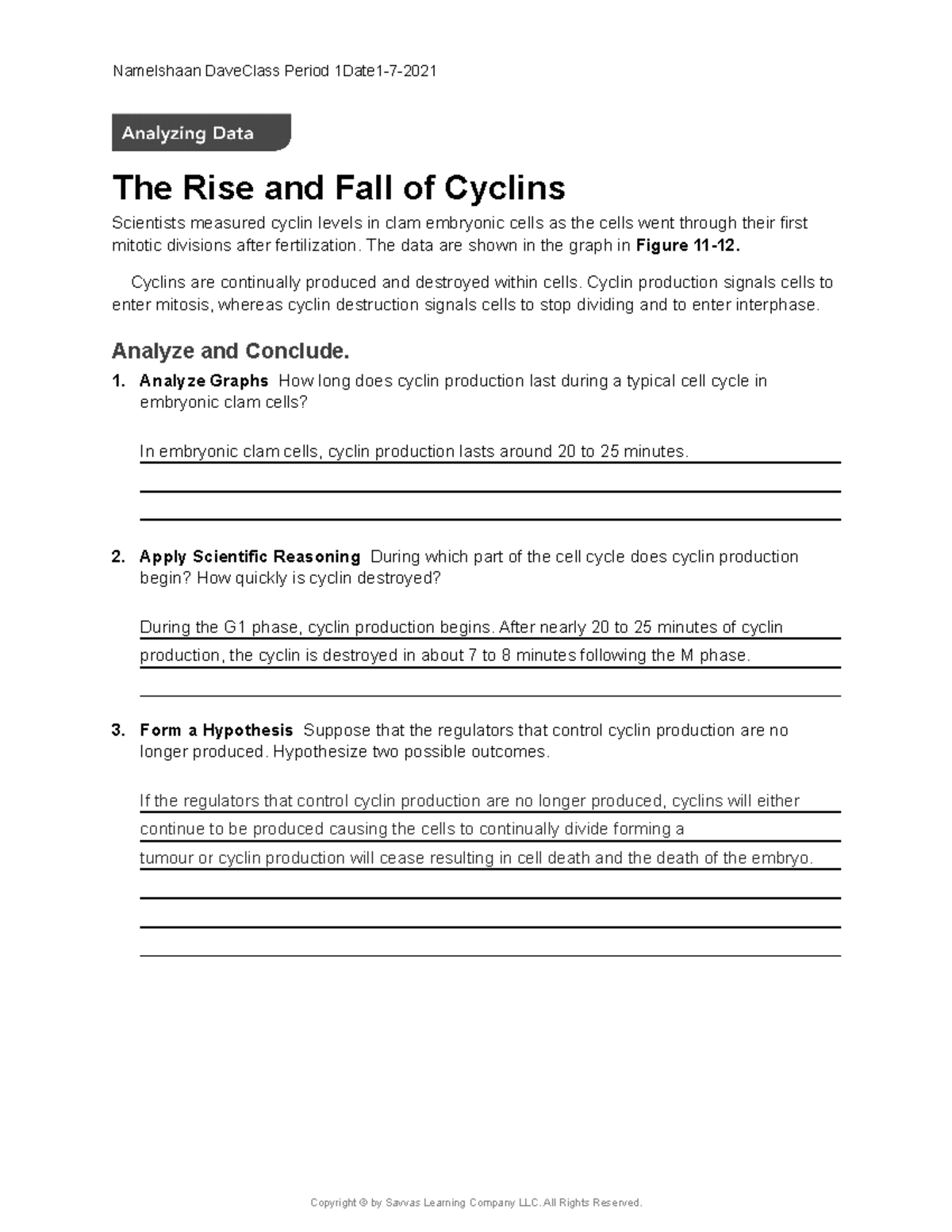 BIO CH11 Cyclins: Data Analysis & Cell Cycle Insights - Studocu