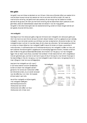Profielwerkstuk - Jaar: 4 - VMBO - Studeersnel