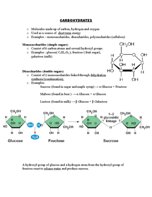 Macromolecules - AMOEBA SISTERS: VIDEO RECAP BIOMOLECULES Amoeba ...