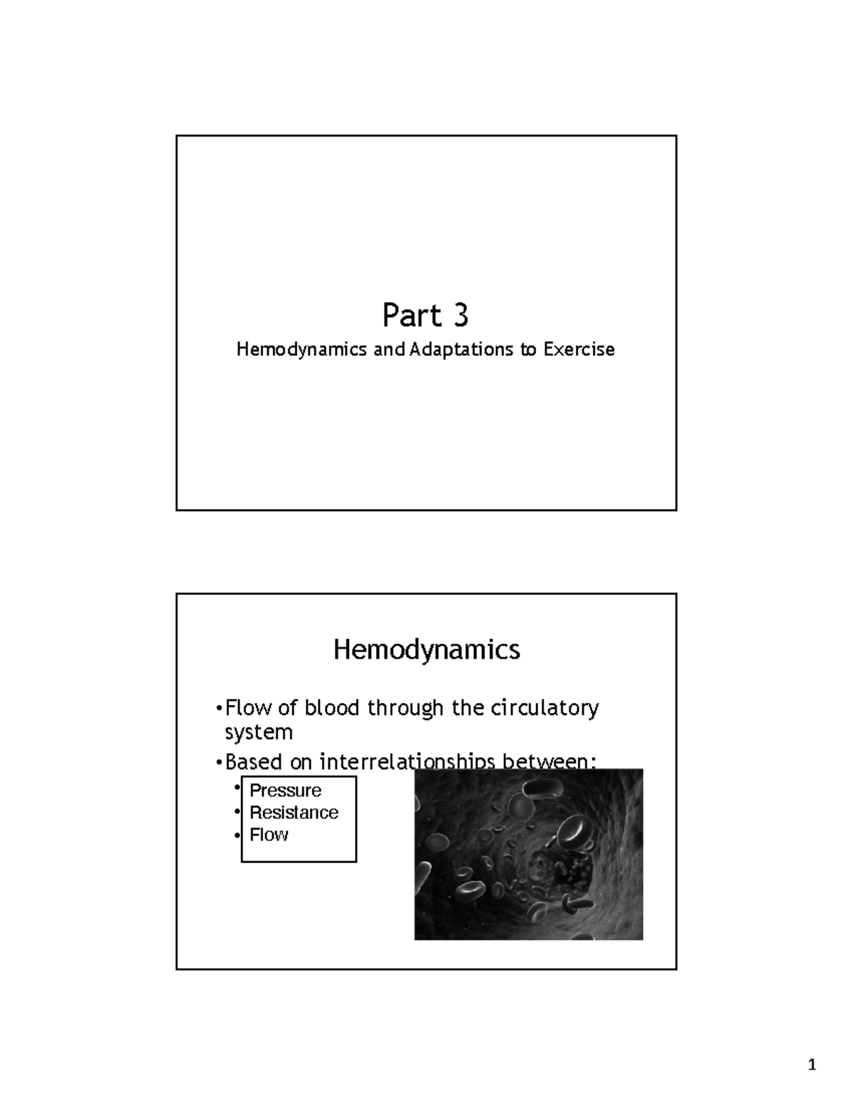 Cardiovascular System: Hemodynamics & Exercise Adaptations Notes - Studocu