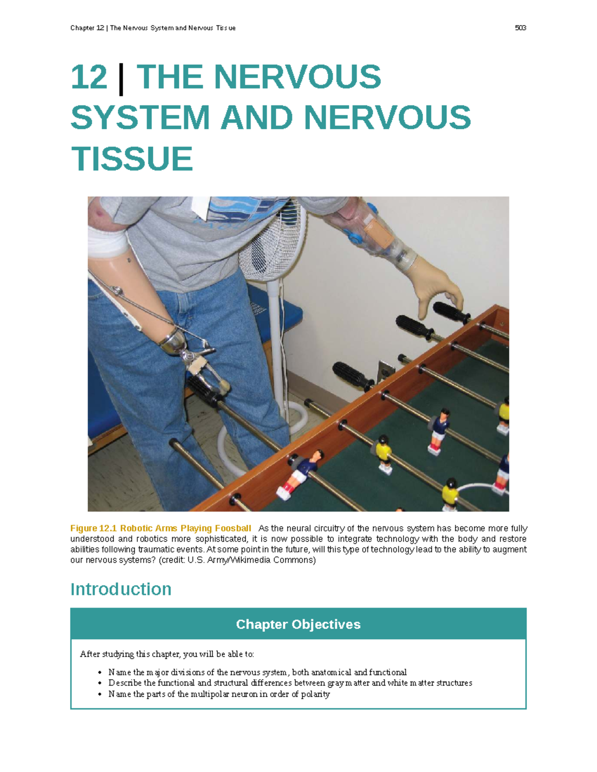 Chapter 12: The Nervous System and Nervous Tissue - Lecture Notes (ANAT ...