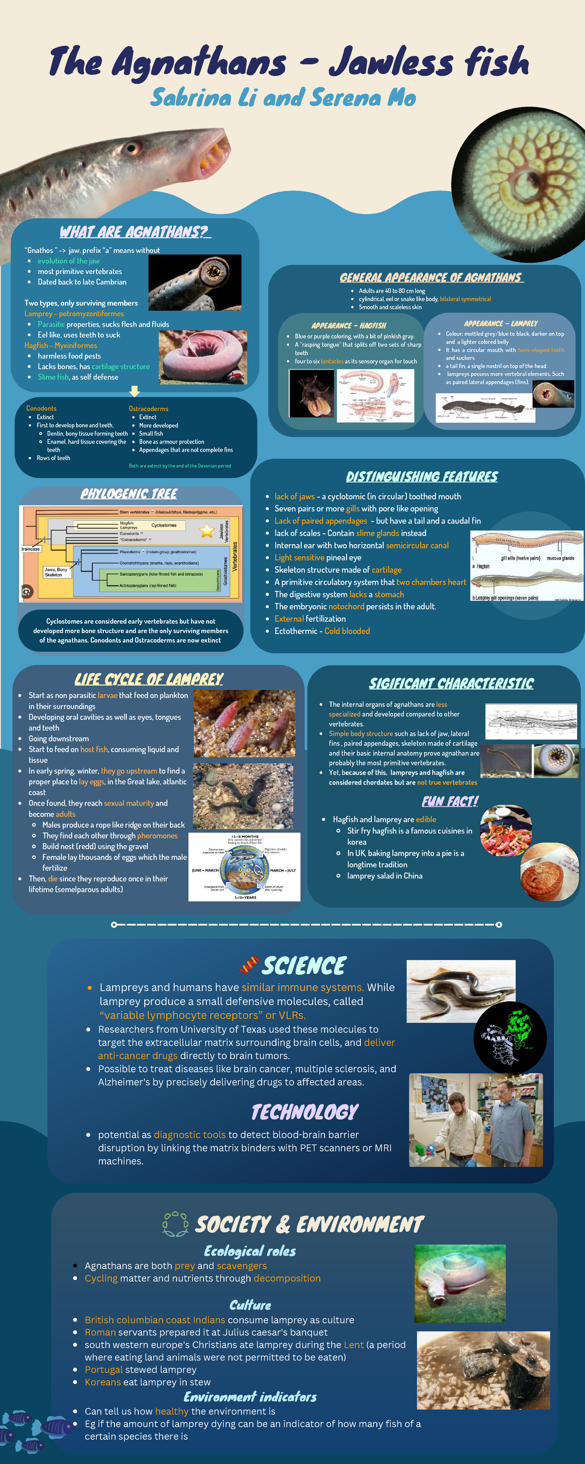 Agnathans Overview: Jawless Fish Study (BIO 101) - Studocu