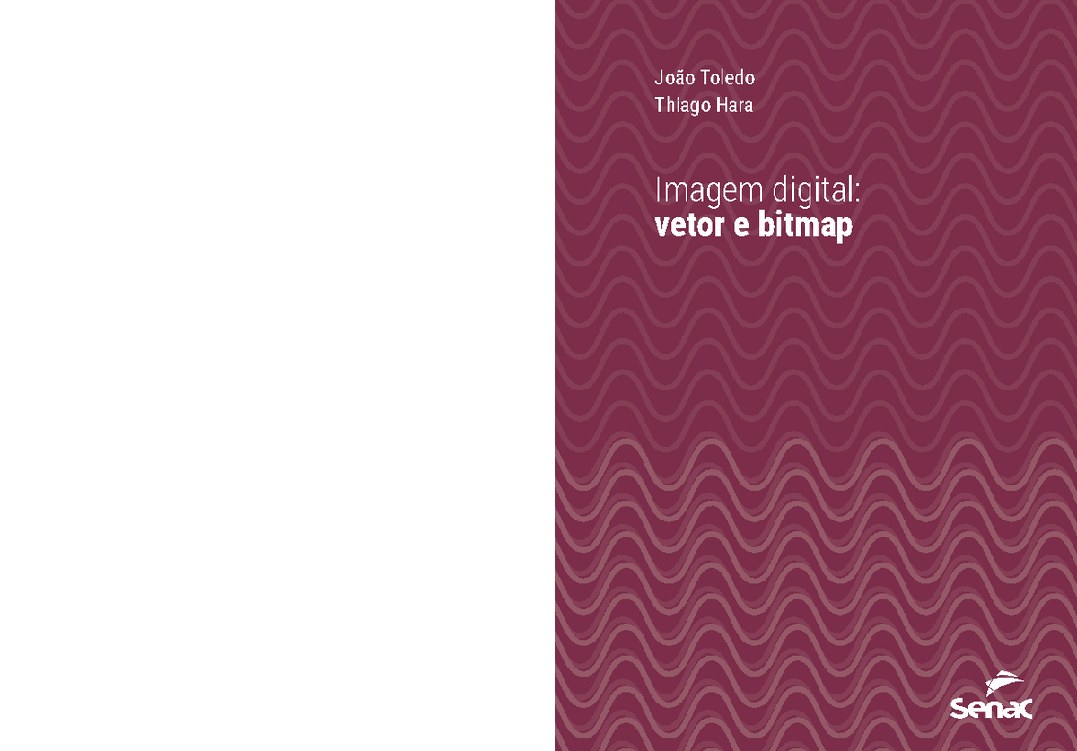 Imagem Digital: Vetor e Bitmap - Guia Prático para Design Gráfico - Studocu