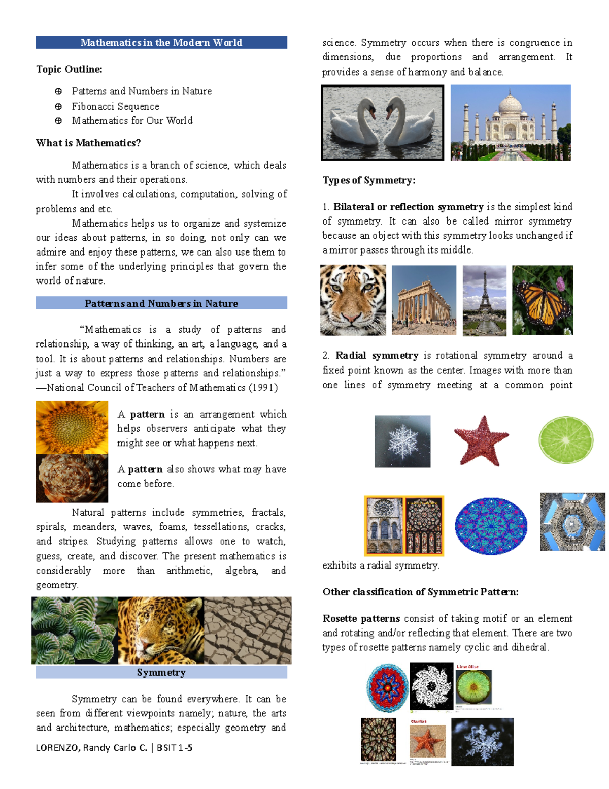 MMW PPT 1 - Understanding Patterns, Symmetry, and Fibonacci in Math - Studocu