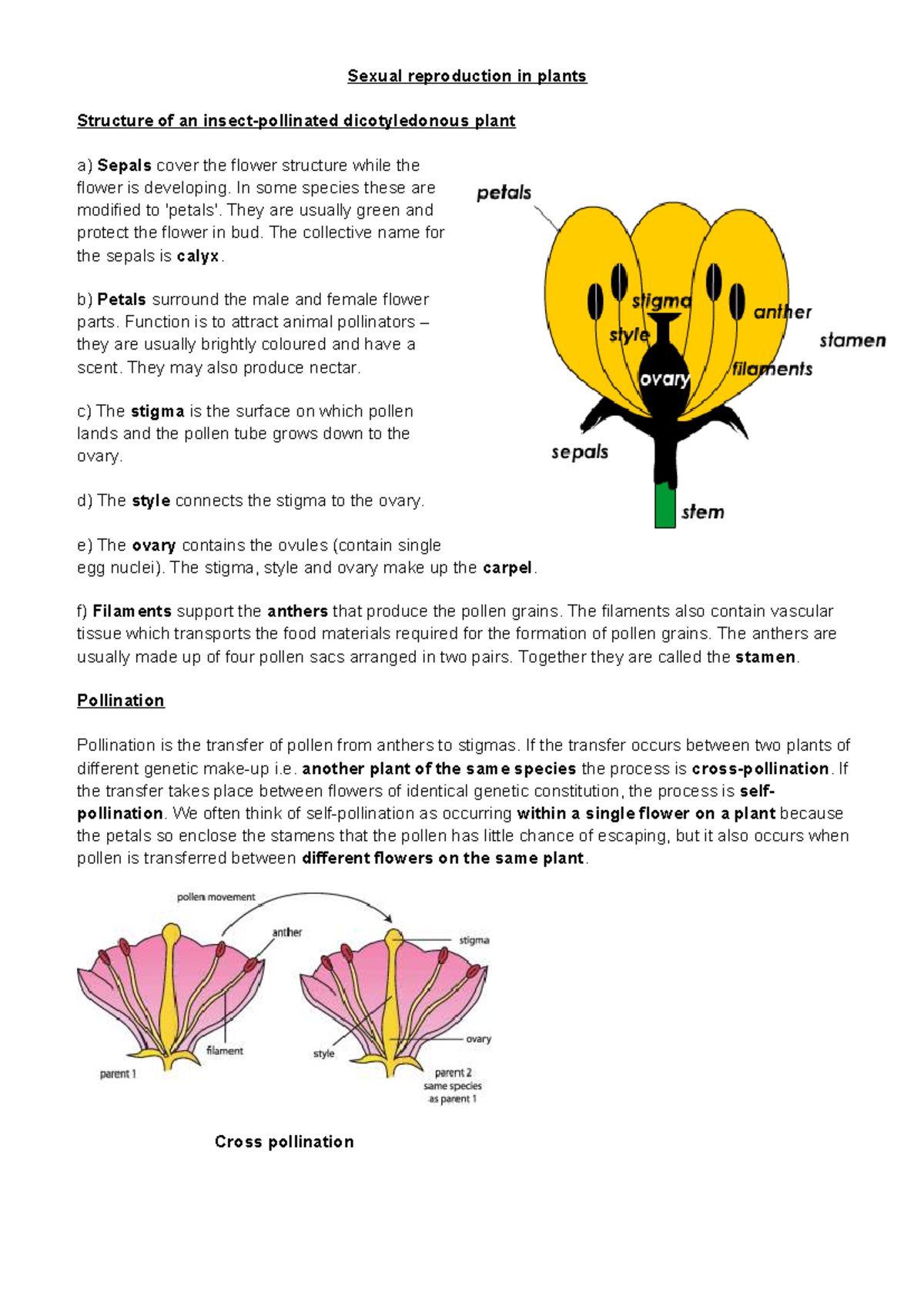 Structure of an Animal Pollinated Flower: Dicotyledon Insights - Studocu