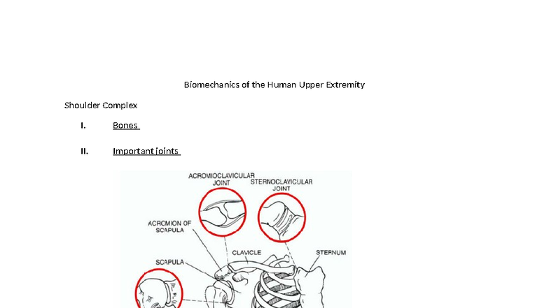 Biomechanics of the Human Upper Extremity: Joints & Muscles Analysis ...