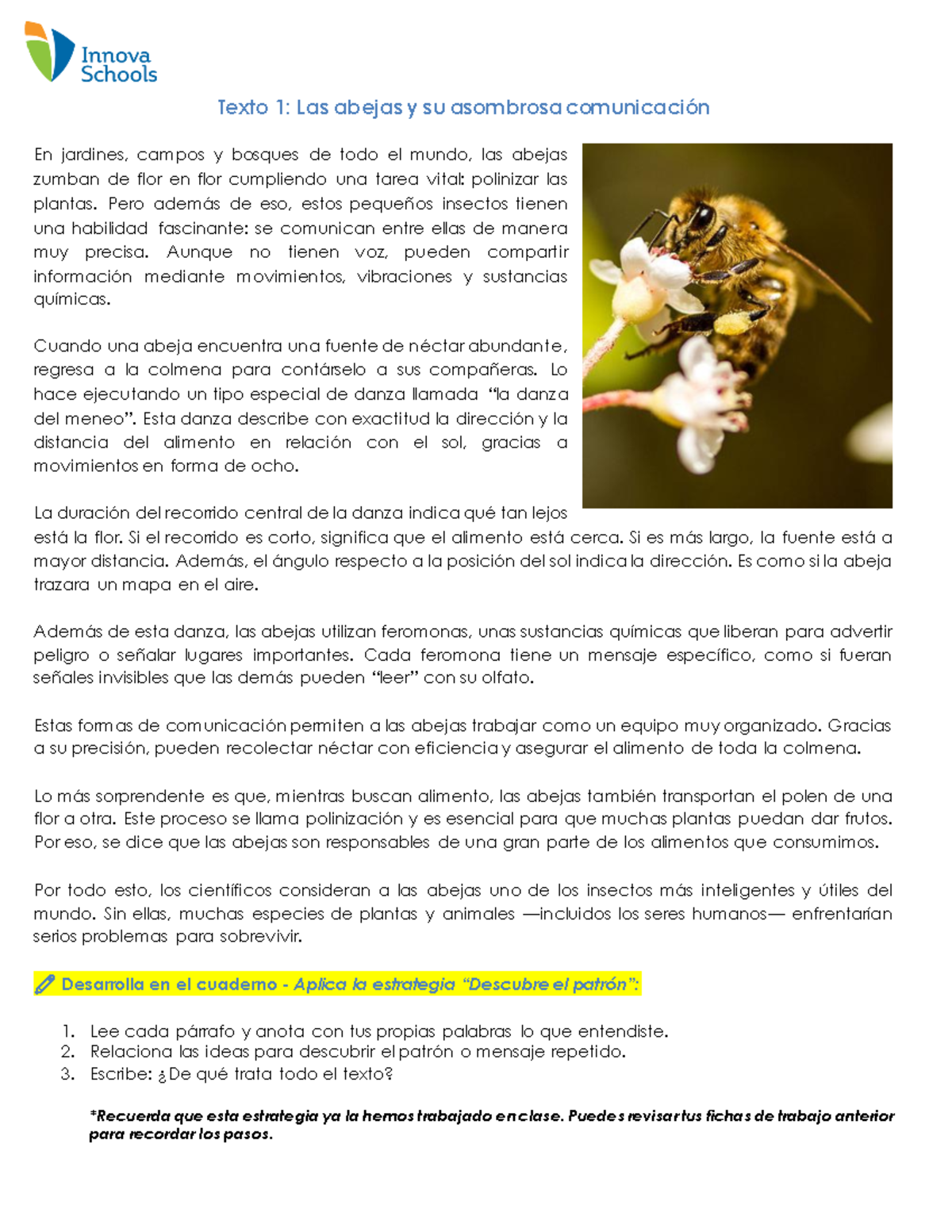 Practica Lectura 5to Grado 1 153623315 - Texto 1: Las abejas y su ...