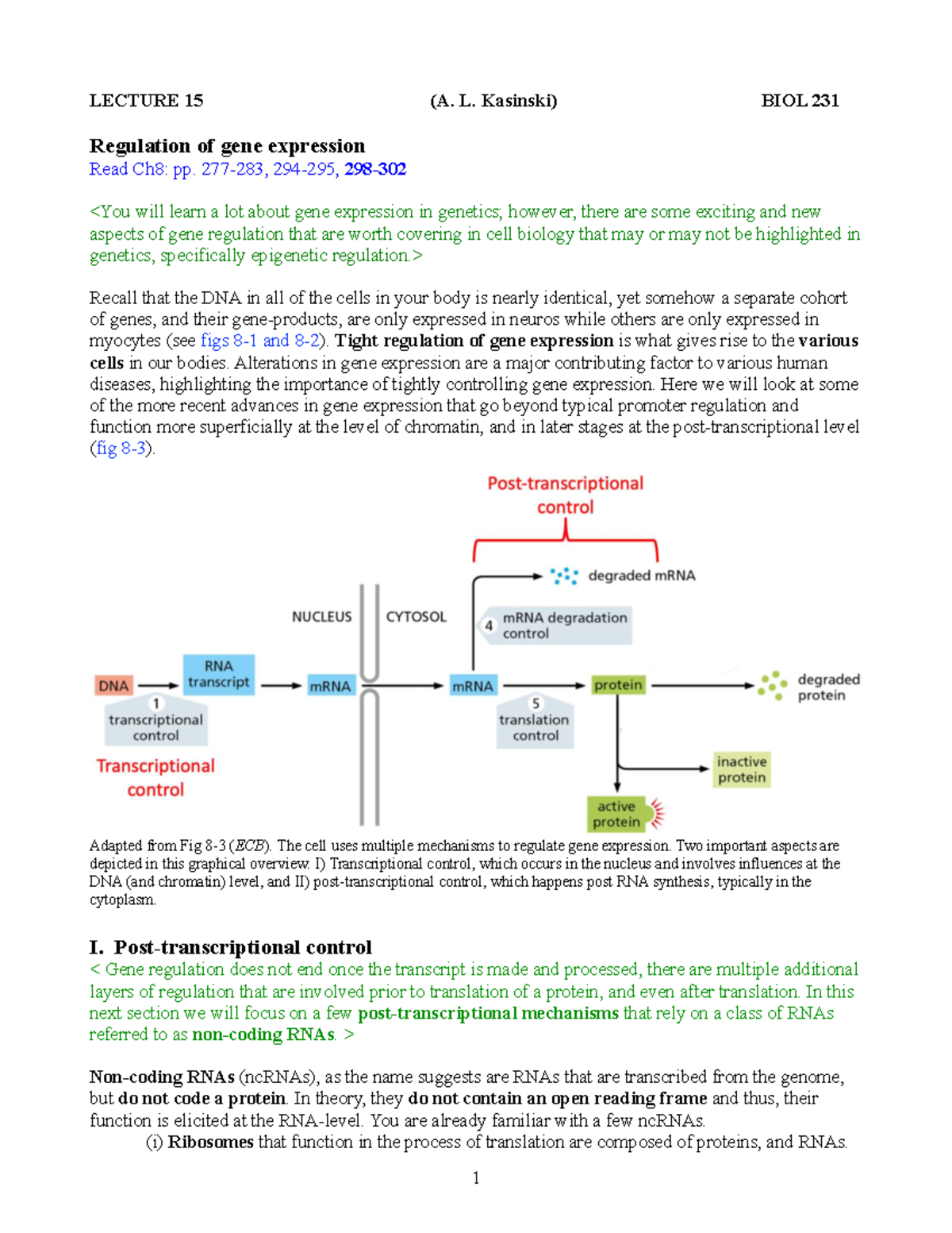 Regulation of Gene Expression: Non-Coding RNAs & Histones - BIOL 231 ...