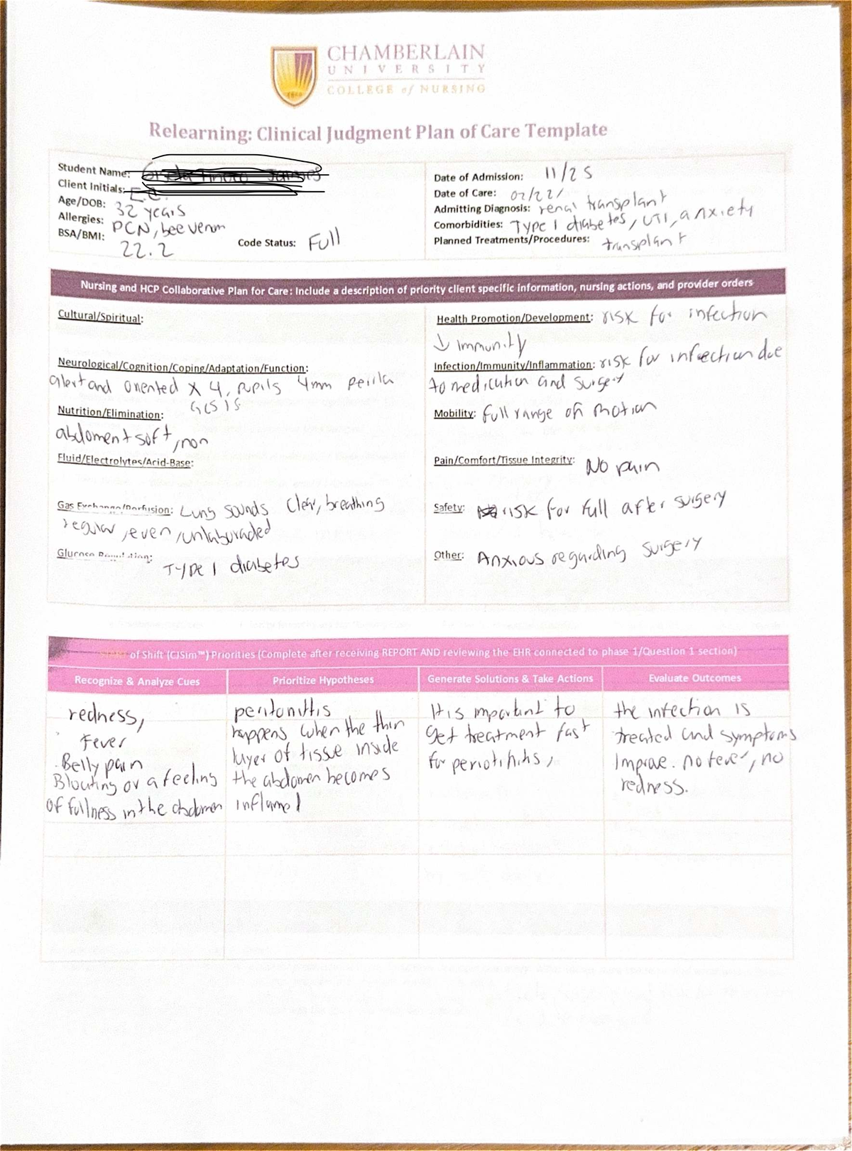 Chamberlain NUR 1 V 1 N: Clinical Judgment & Care Plan Template - Studocu