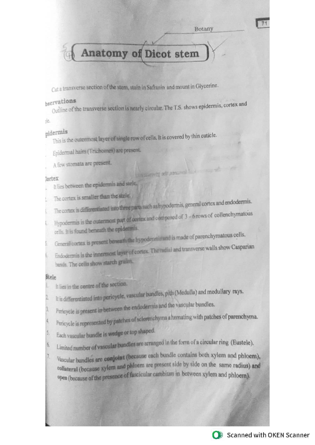 71 Botany Practical Manual: Anatomy of Dicot & Monocot Stems and Roots ...