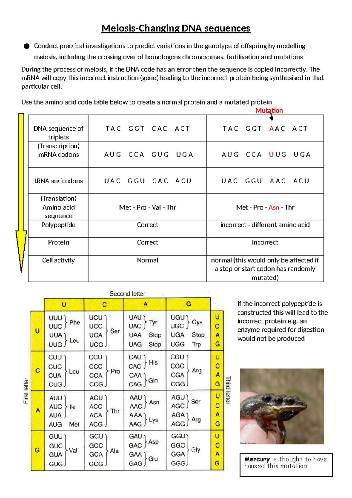 Meiosis and DNA Sequence Variations: Investigating Genotype Changes ...