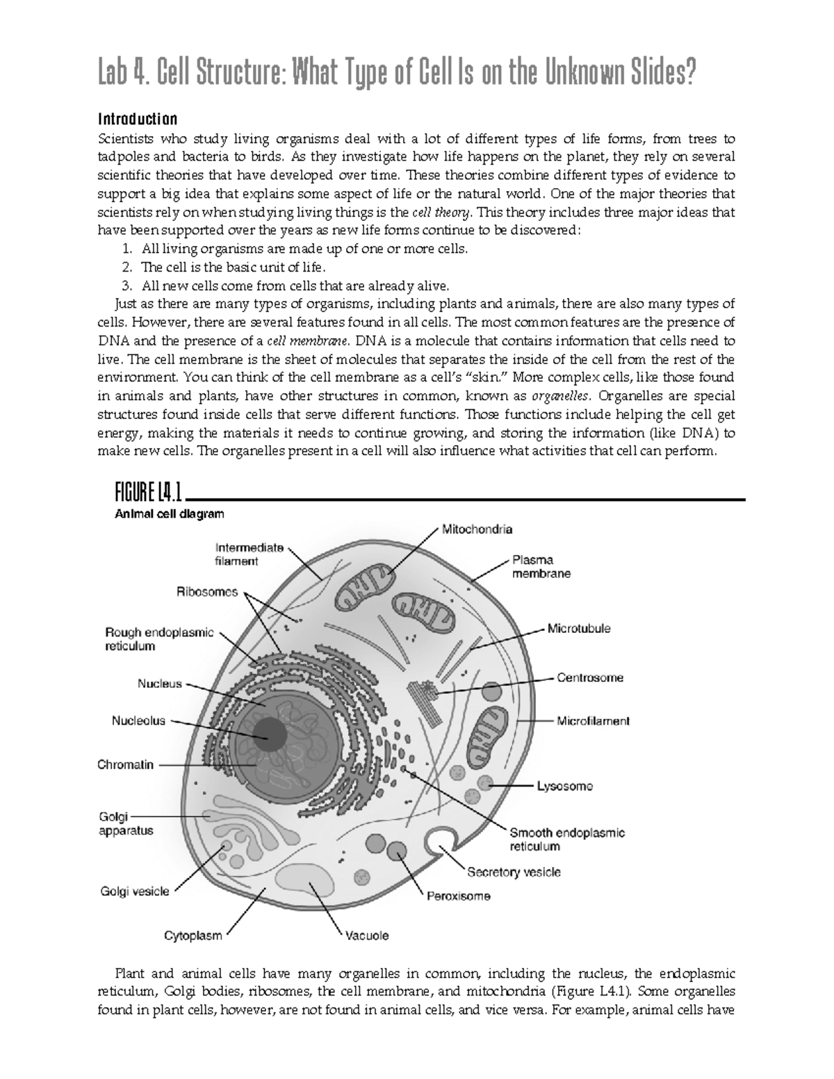 Lab 4: Investigating Cell Structure in Unknown Slides - Studocu