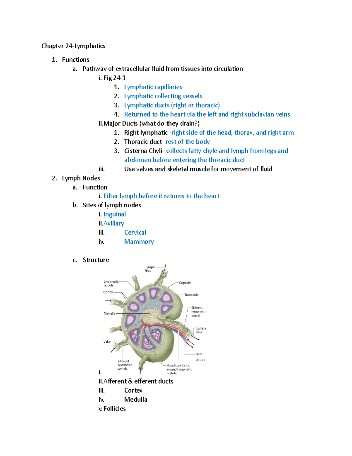 216 Lab Practical 1: Lymphatics & Cardiovascular System Study Guide ...