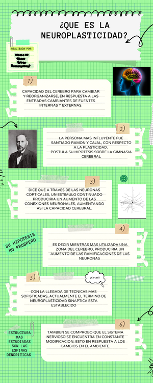 [Solved] cual es la diferencia entre plejia y paresia - Neurología ...