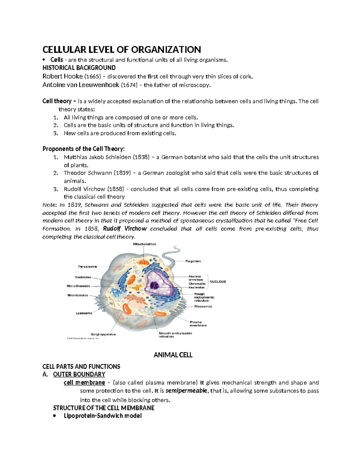 Lecture Notes on Cell & Cell Division (BIO 101) - Studocu