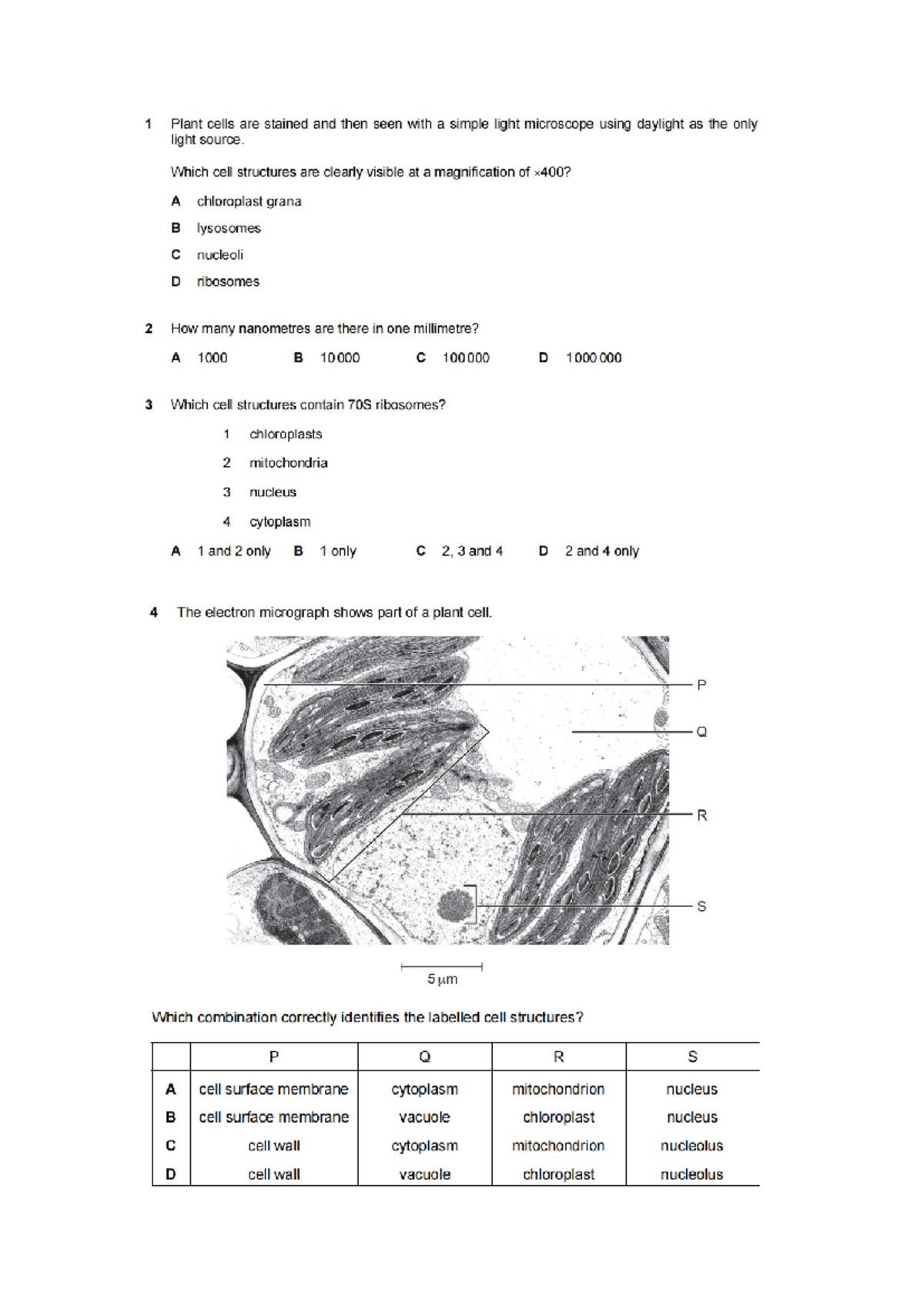 Biology MCQs: Plant & Animal Cells, Biological Molecules (Final Exam ...