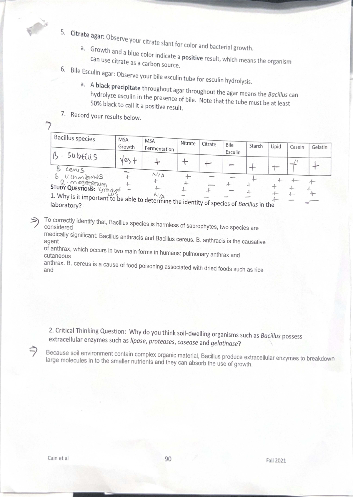 Bacillus Species Identification Lab Report - Fall 2021 - Studocu