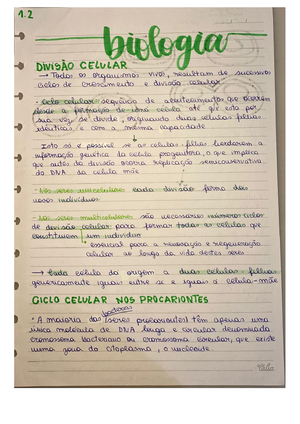 Ficha - Observe a figura seguinte que representa, esquematicamente, um ...