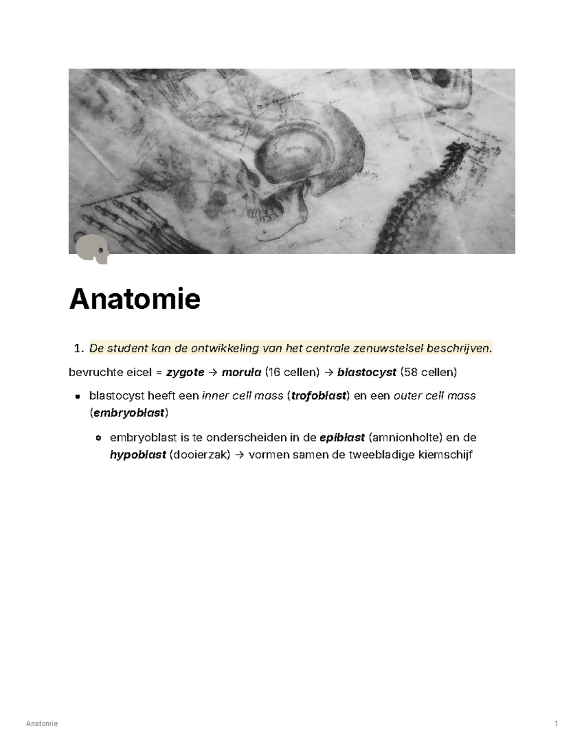 Anatomie 1-20: Leerdoelen en Ontwikkeling van het Zenuwstelsel ...