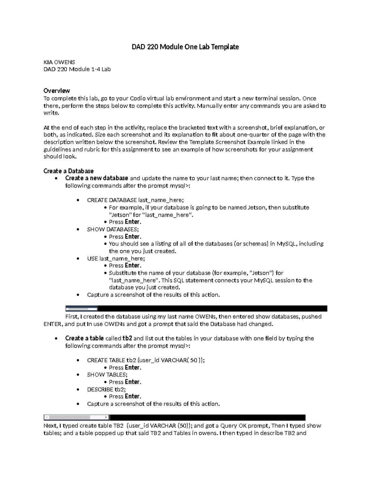 DAD 220 Module One Lab Template NEW - DAD 220 Module One Lab Template ...