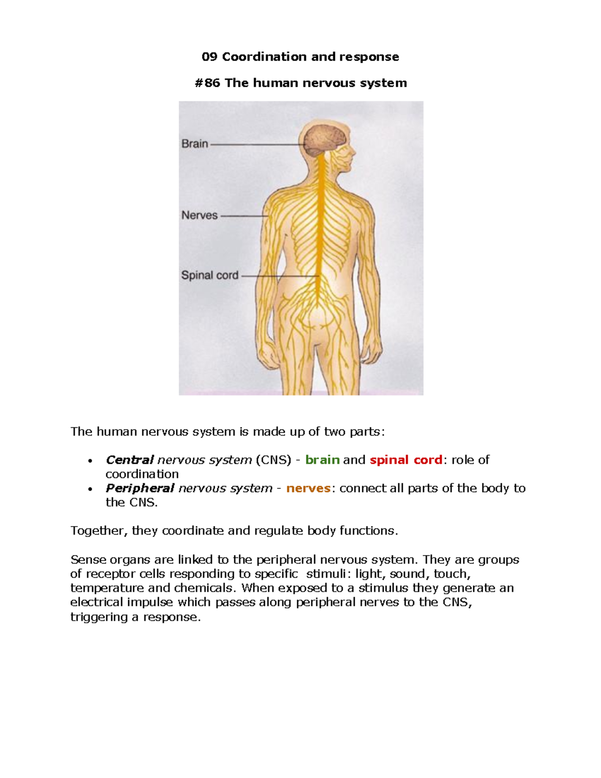 Biology 101 - Coordination and Response Lecture Notes 9 - Studocu