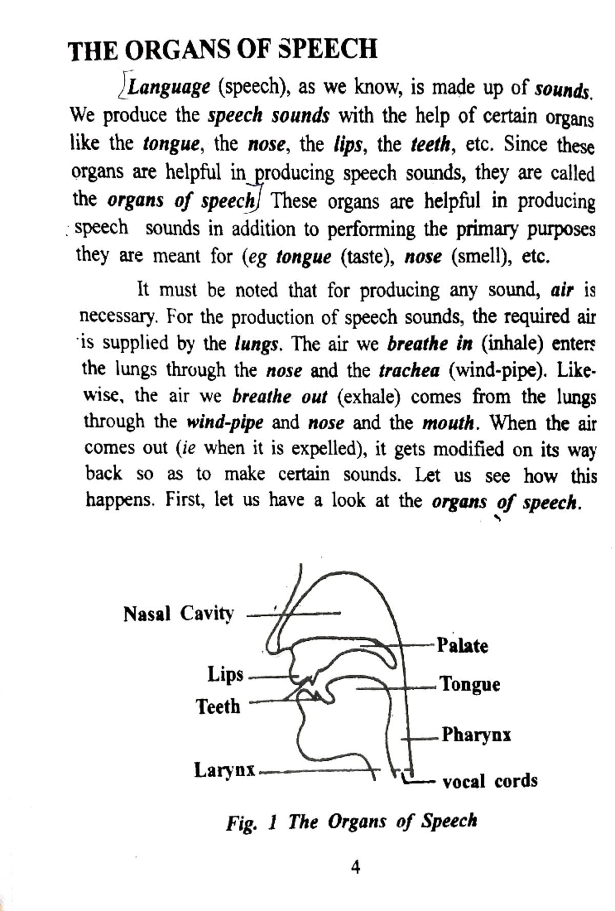 English Phonetics: The Organs of Speech Explained - Studocu