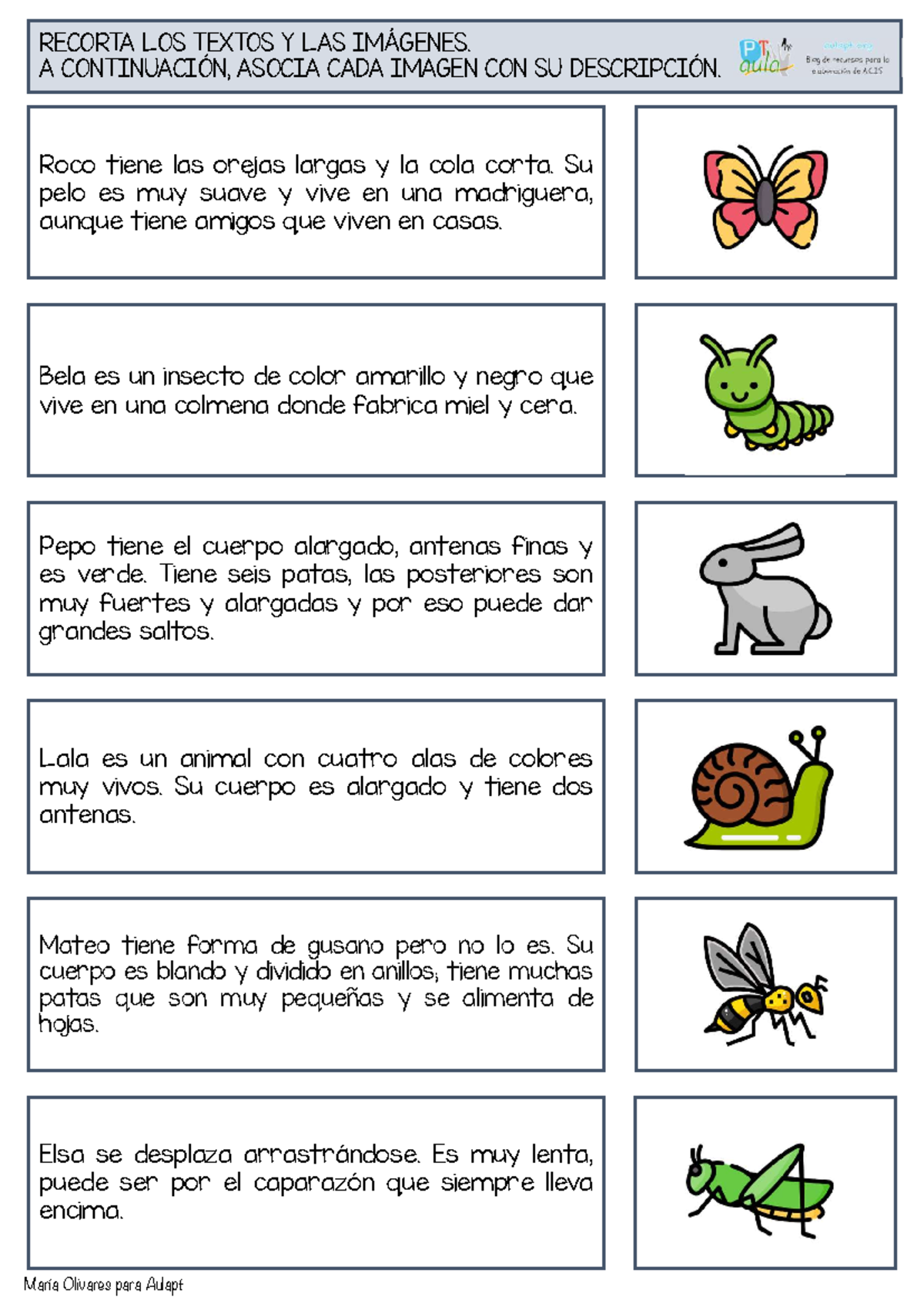 Comprensión lectora: Animales en Primavera - Ejercicios y Descripciones ...