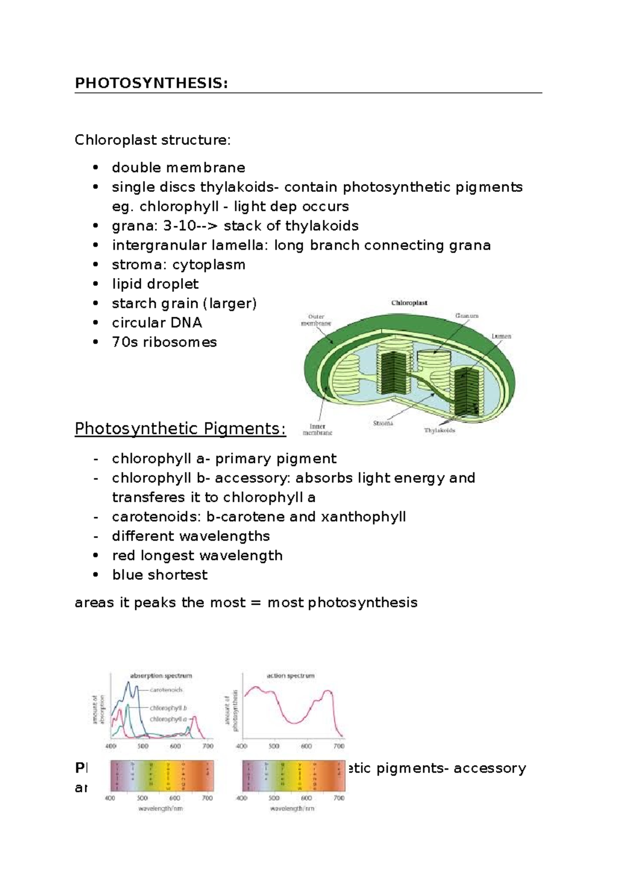 Photosynthesis A Level OCR A Biology Notes: Chloroplast & Calvin Cycle ...