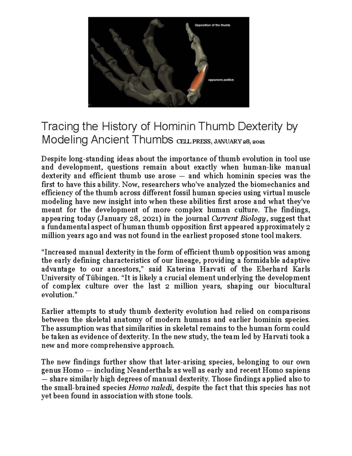 Tracing Hominin Thumb Dexterity Evolution: Insights from Modeling - Studocu