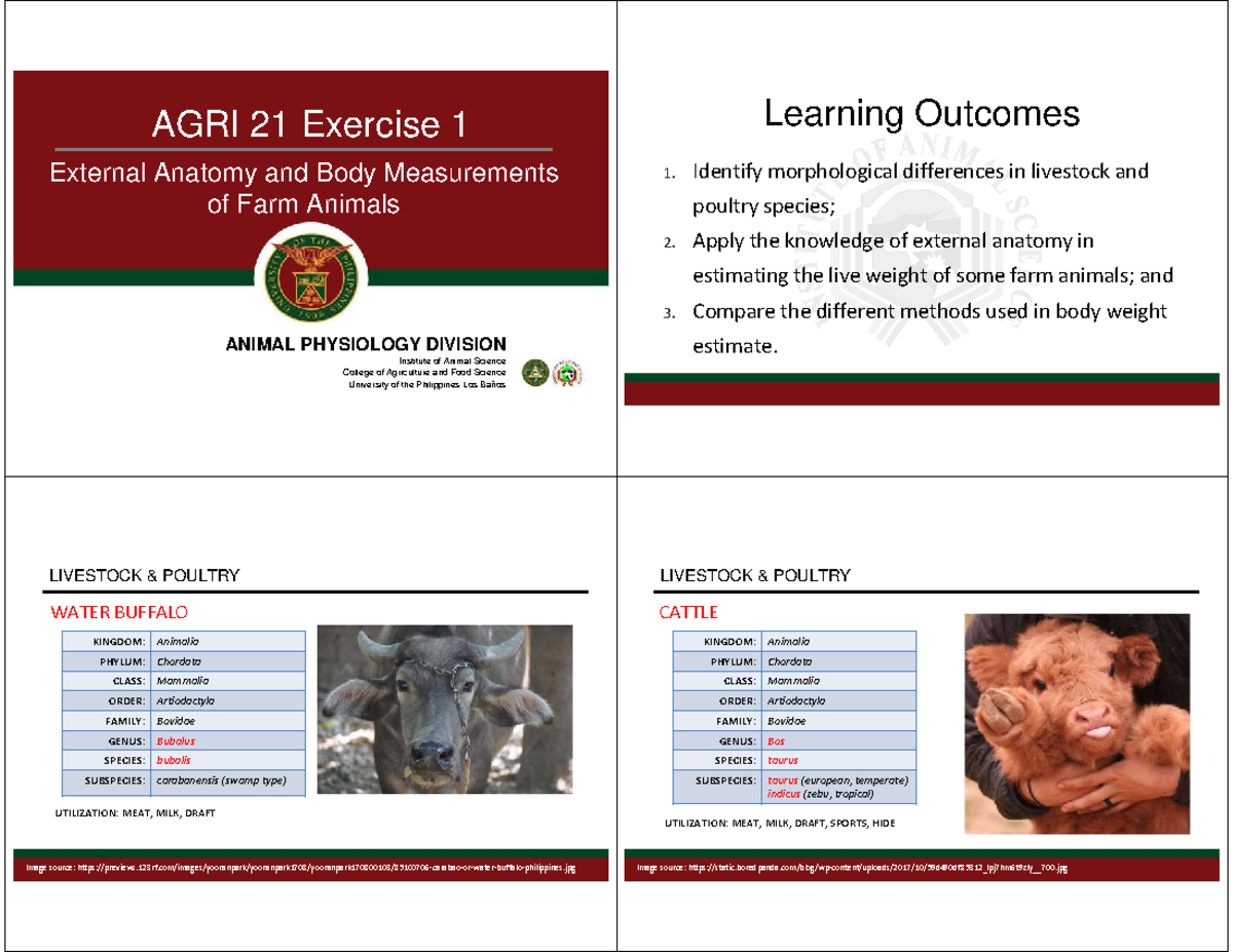 AGRI 21 Exercise 1: External Anatomy & Body Measurements of Farm ...