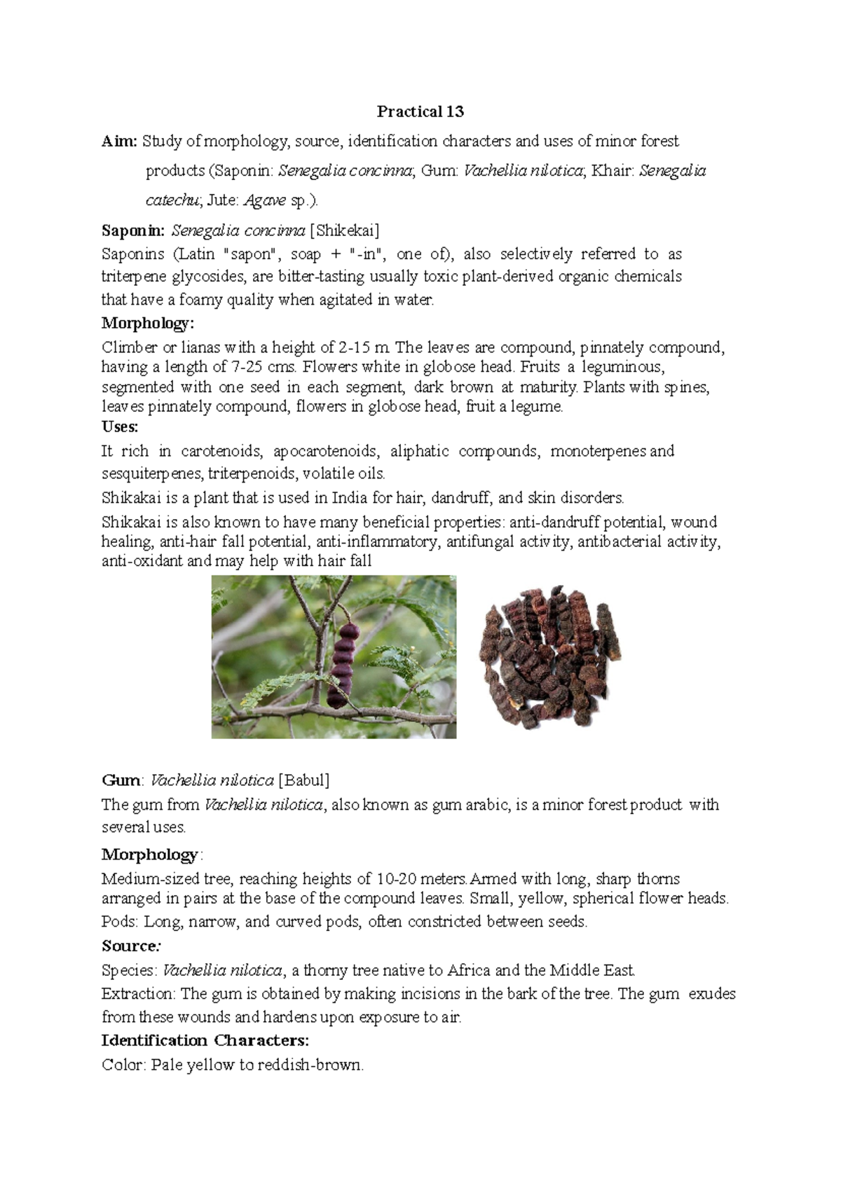 Practical I-14: Morphology and Uses of Minor Forest Products - Studocu